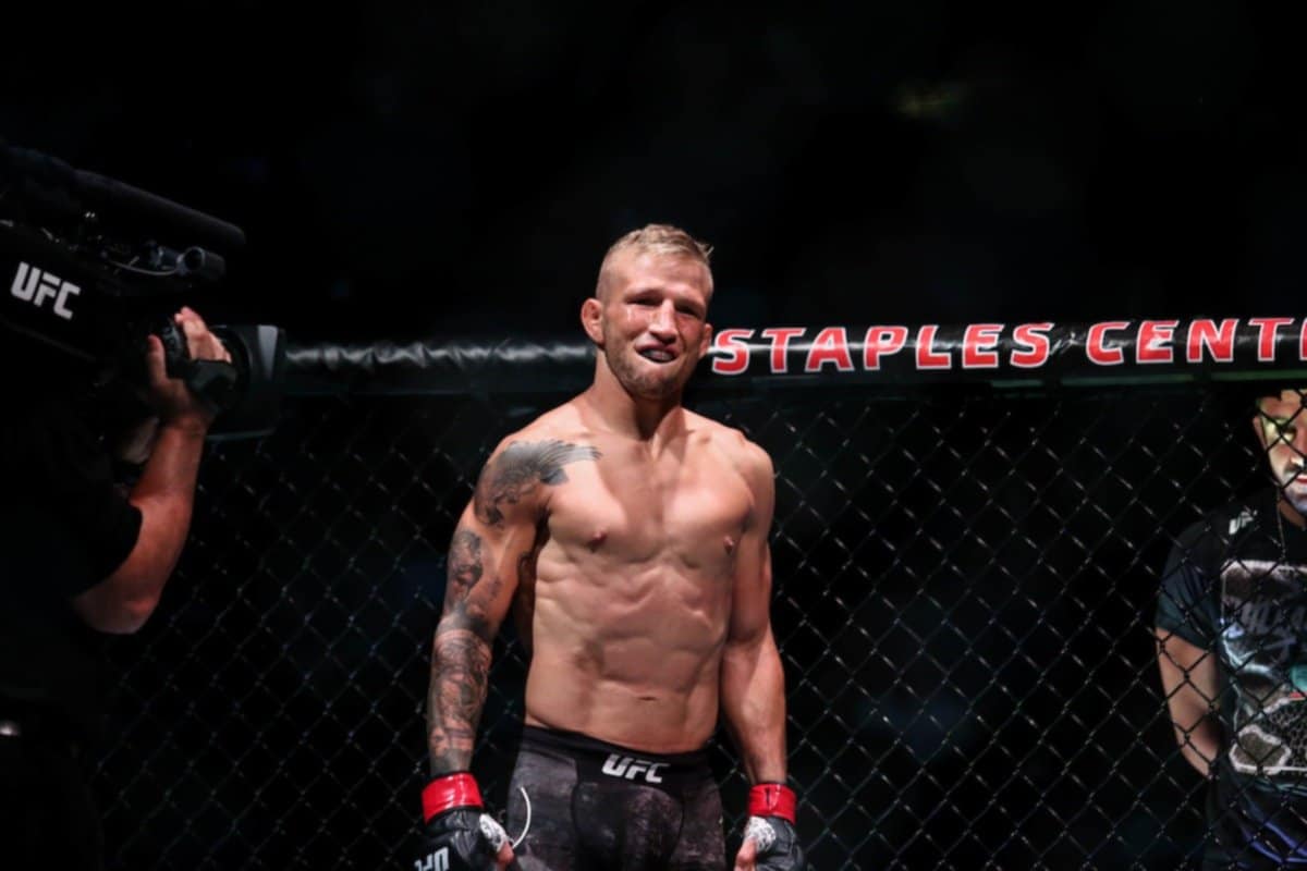 TJ Dillashaw se retira luego de su última operación de hombro - Elintra ...