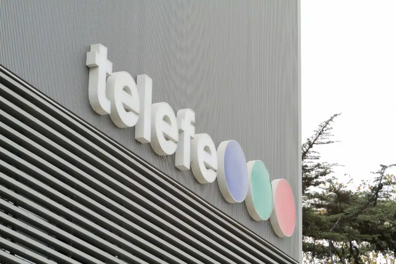 ¿Agranda la familia? la figura de Telefe que estaría buscando su primer ...