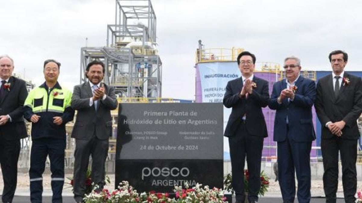 POSCO inauguró otra planta de producción en Salta: lo bueno y lo malo ...